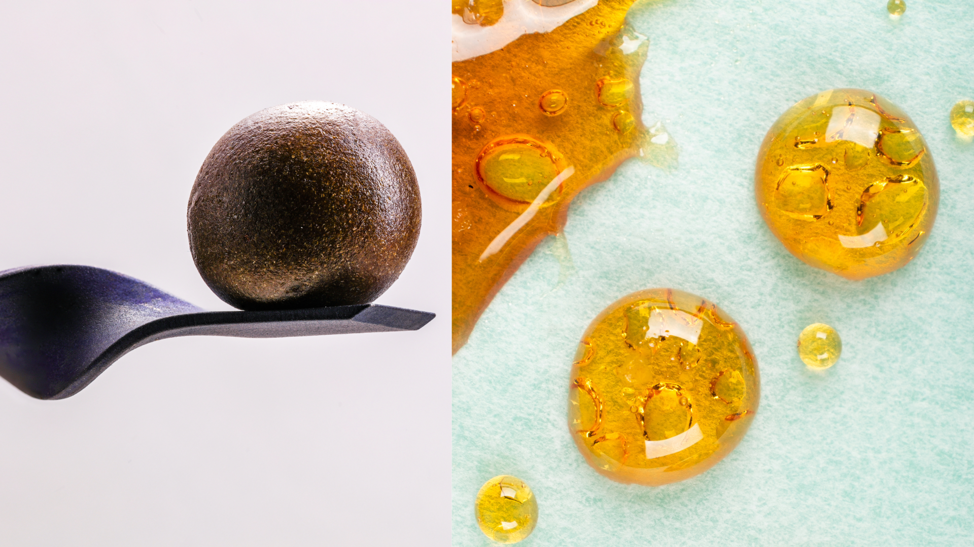 DIY CANNABIS CONCENTRATES: BEGINNER'S GUIDE TO HOMEMADE EXTRACTS ...